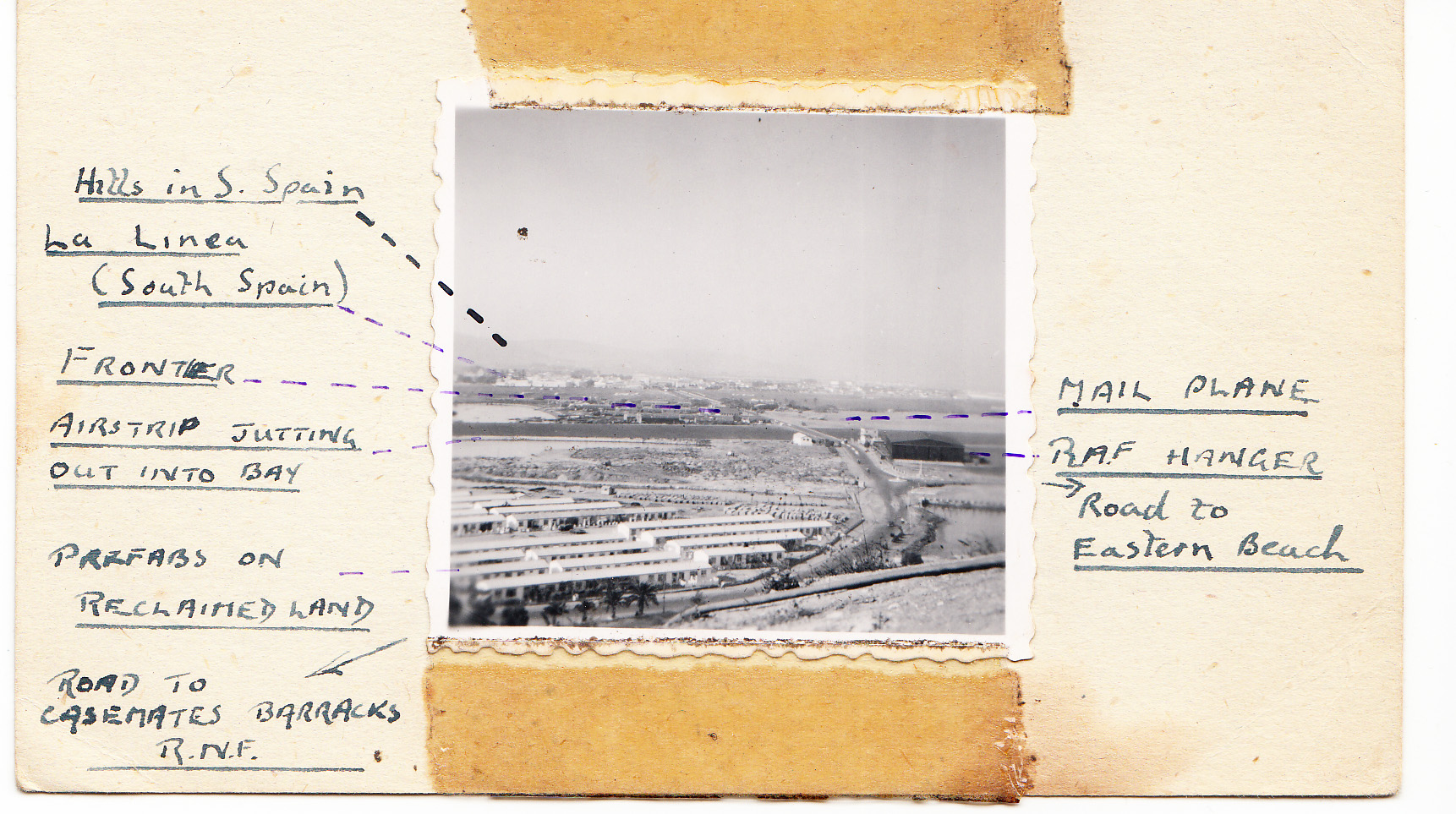 Winifred Alice Tranter – My Family Roots And Shoots